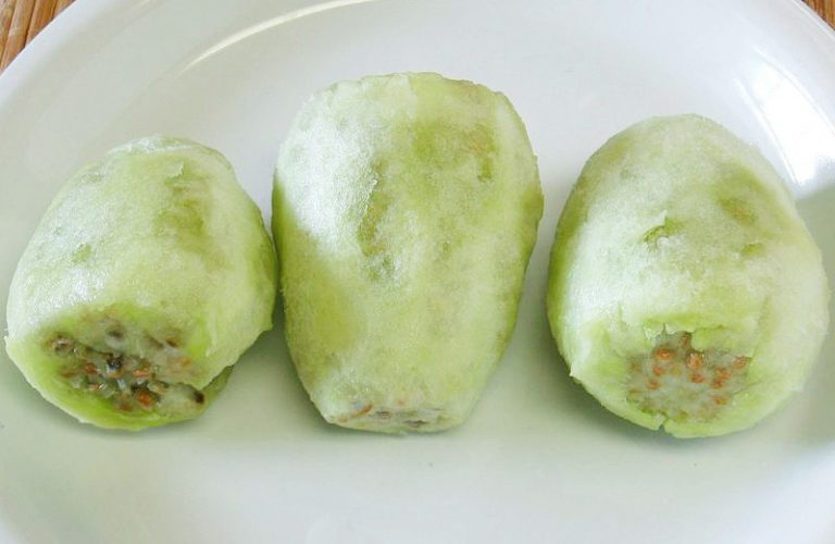 JUGO DE TUNA | Recetas de la Tía Chelis
